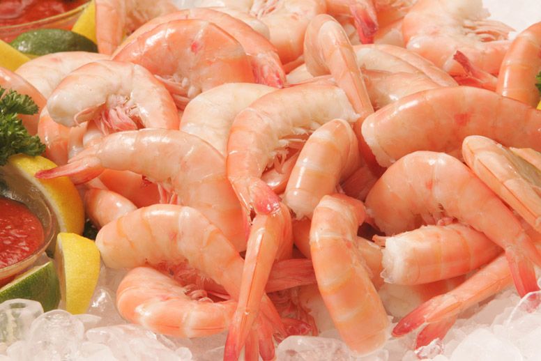 Where do Key West pink shrimp come from?