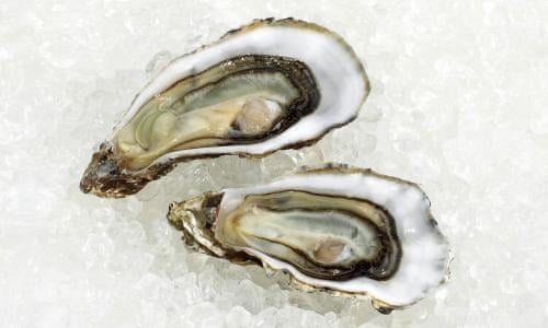 Where do oysters in the UK come from?