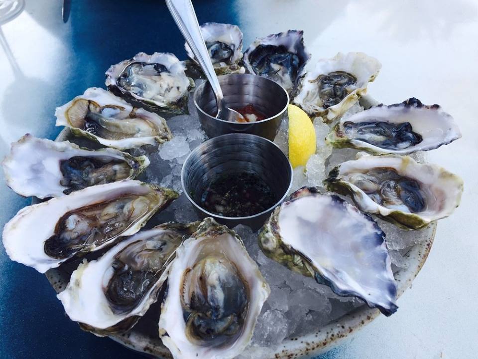 Where do the best tasting oysters come from?