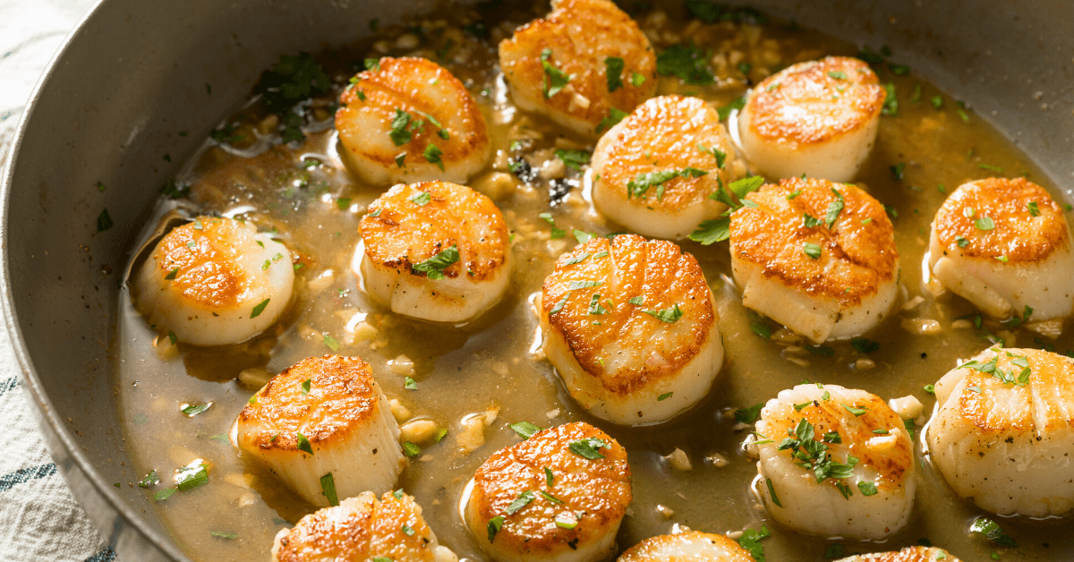Where do the best tasting scallops come from?