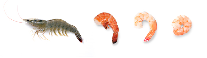 Where do vannamei prawns come from?