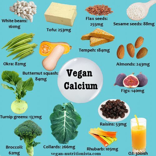 Where do vegans get protein and calcium?