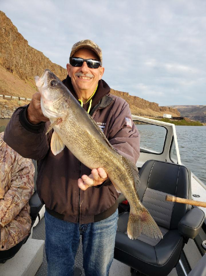 Where do walleye spawn on the Columbia River?