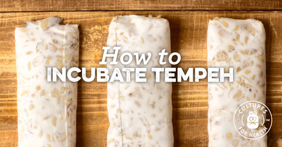 Where do you incubate tempeh?