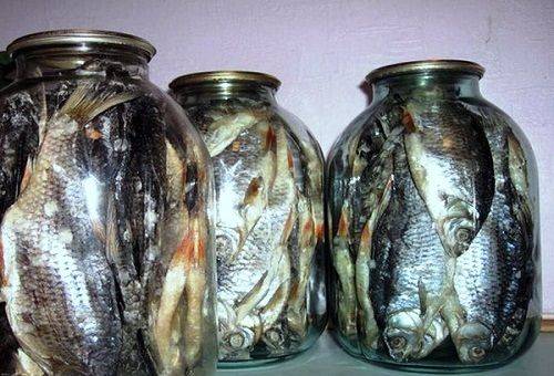 Where do you store dried fish?