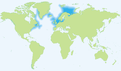 Where does cod fish live?