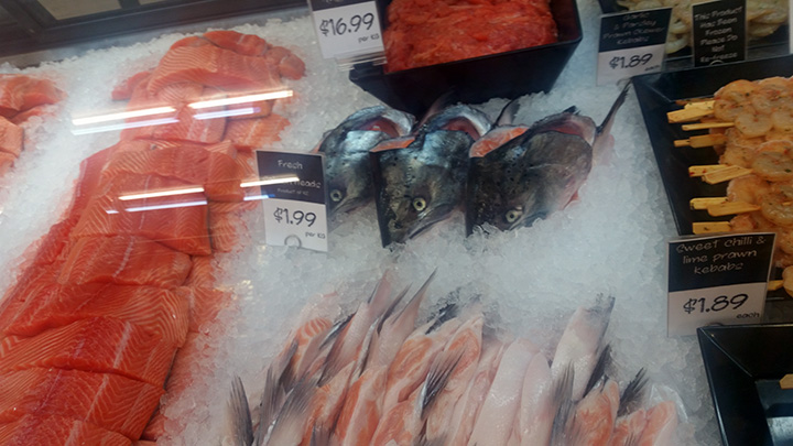 Where does live online seafood get its fish heads?
