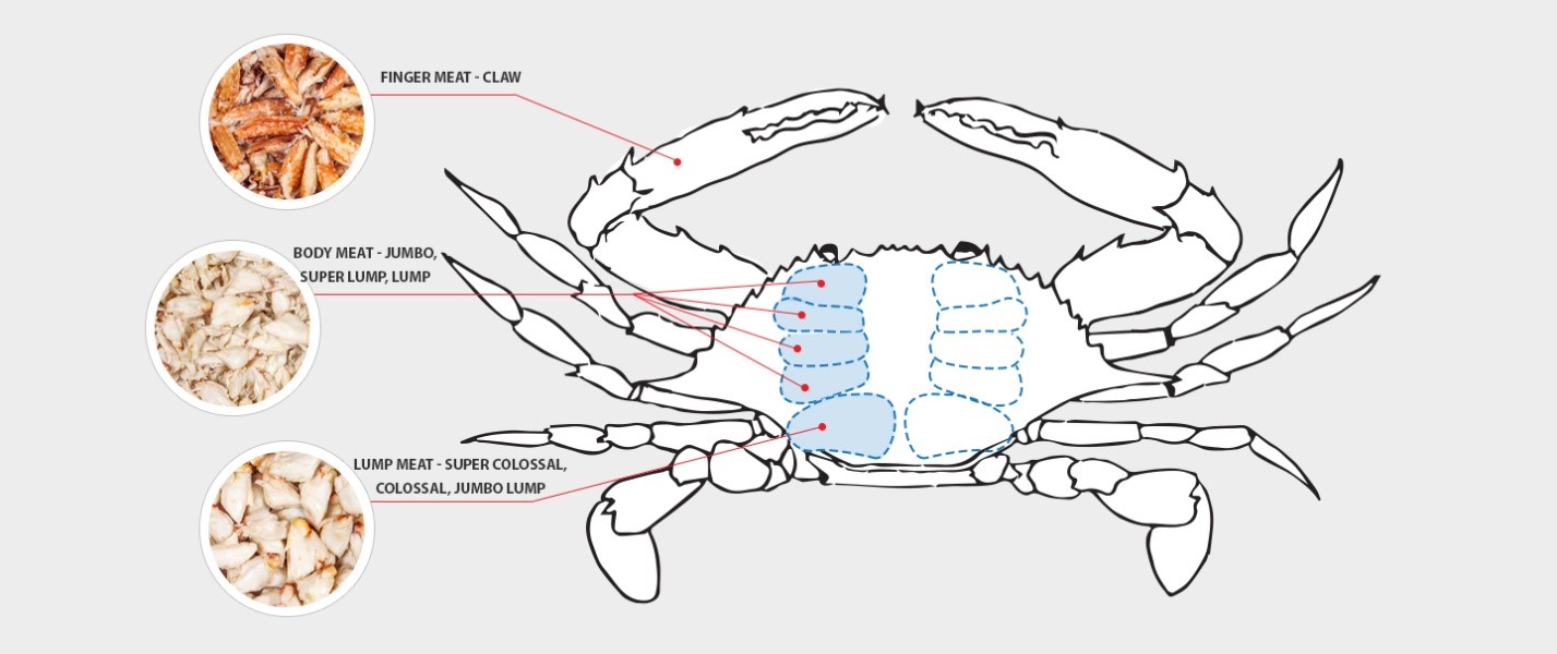 Where does most crab meat come from?