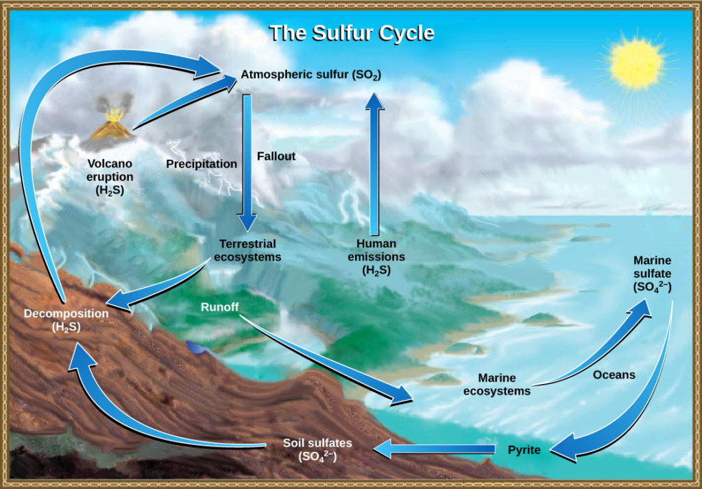 Where does sulfur in the air come from?