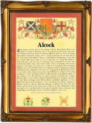Where does the surname Alcock originate from?
