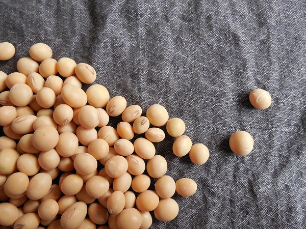 Where does the word soya come from?