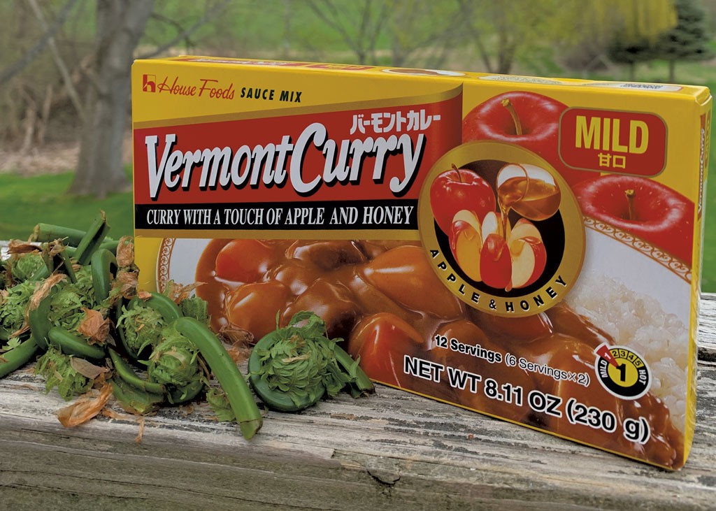 Where does Vermont Curry come from?
