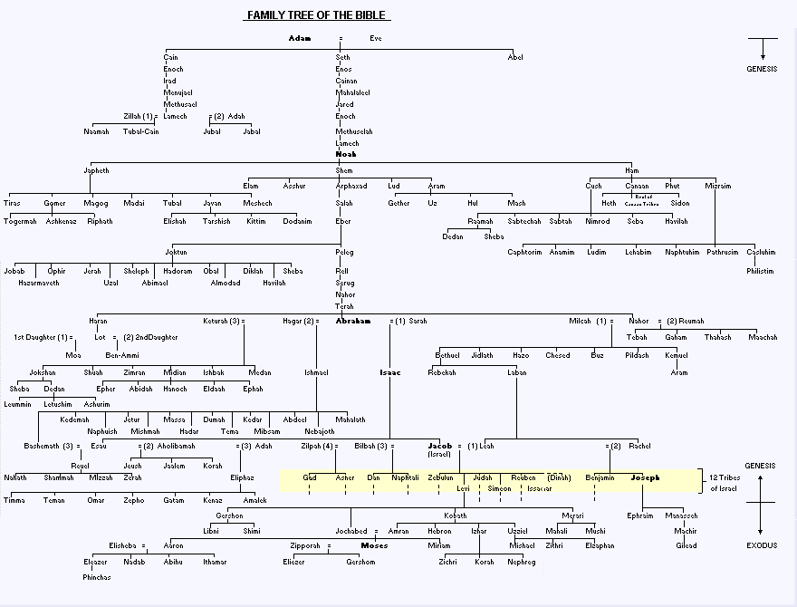 Where in the Bible does it talk about genealogy?