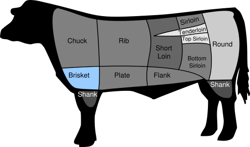 Where is brisket on a cow?