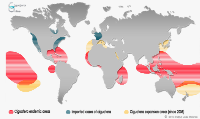 Where is ciguatera most common?