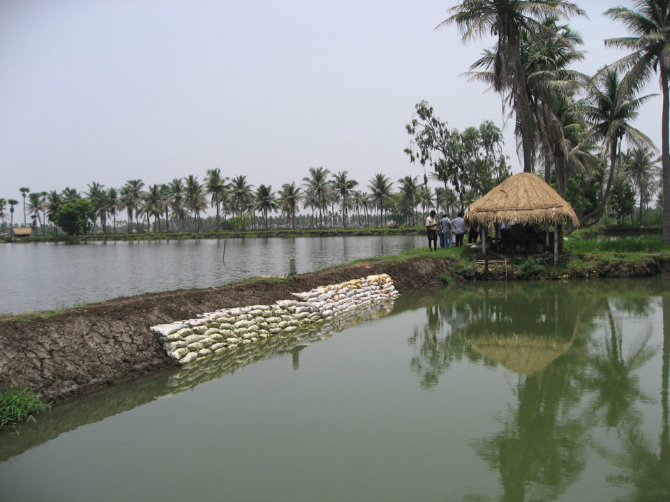 Where is fish farming done in India?