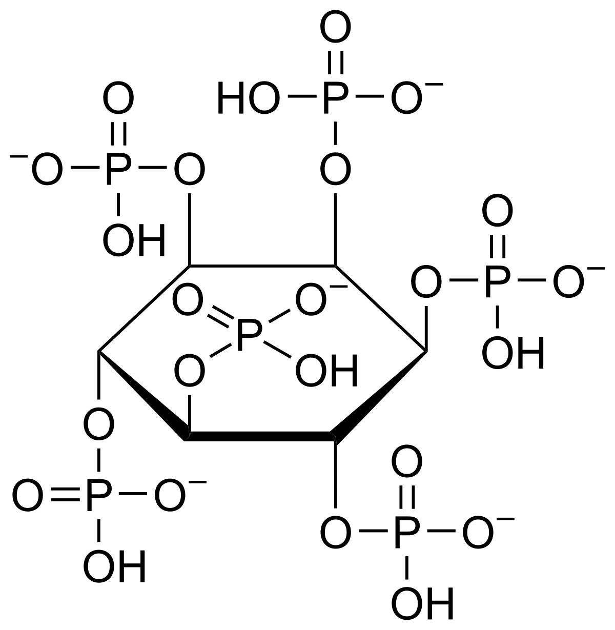 Where is phytase found?