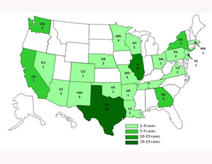 Where is Salmonella most common?