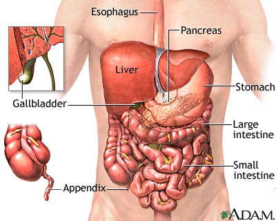 Where is stomach pain located?