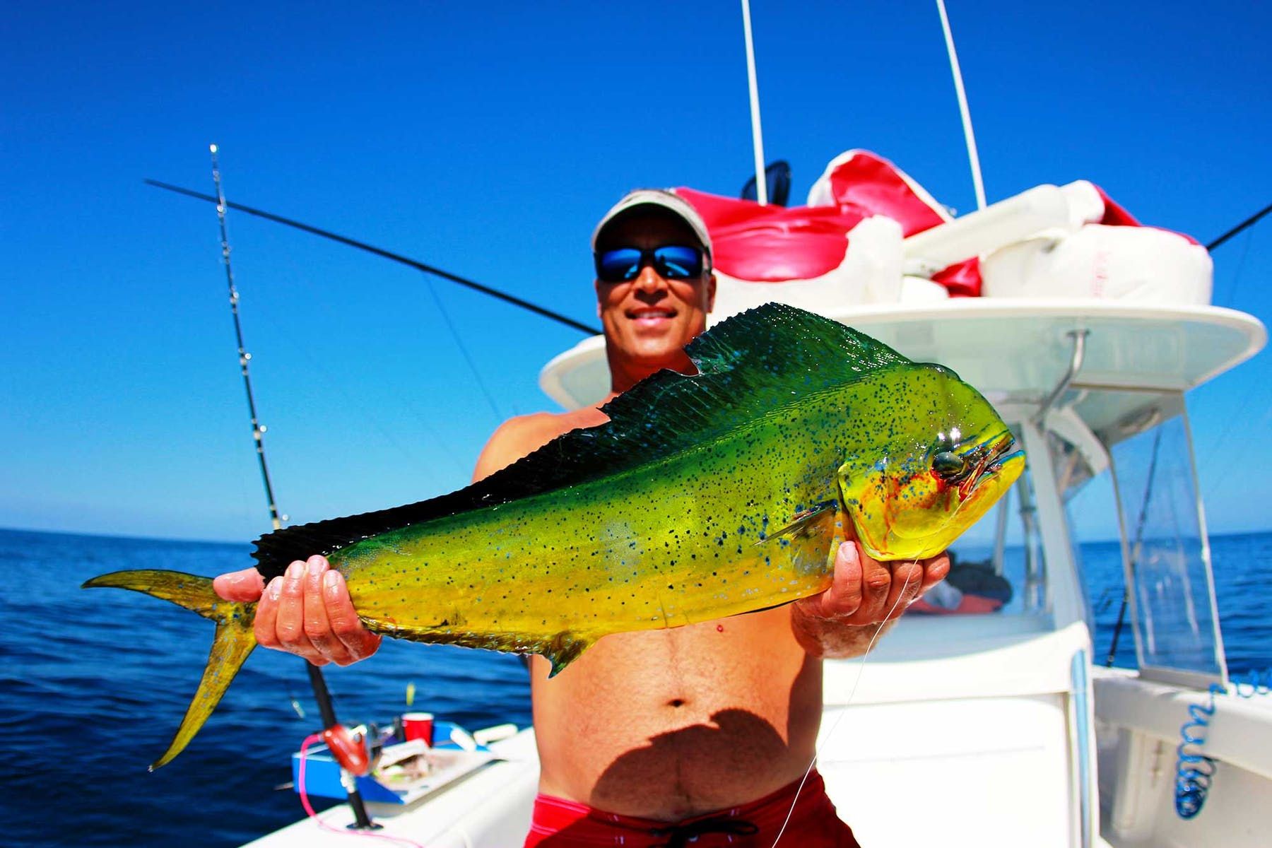 Where is the best fishing in the Gulf of Mexico?