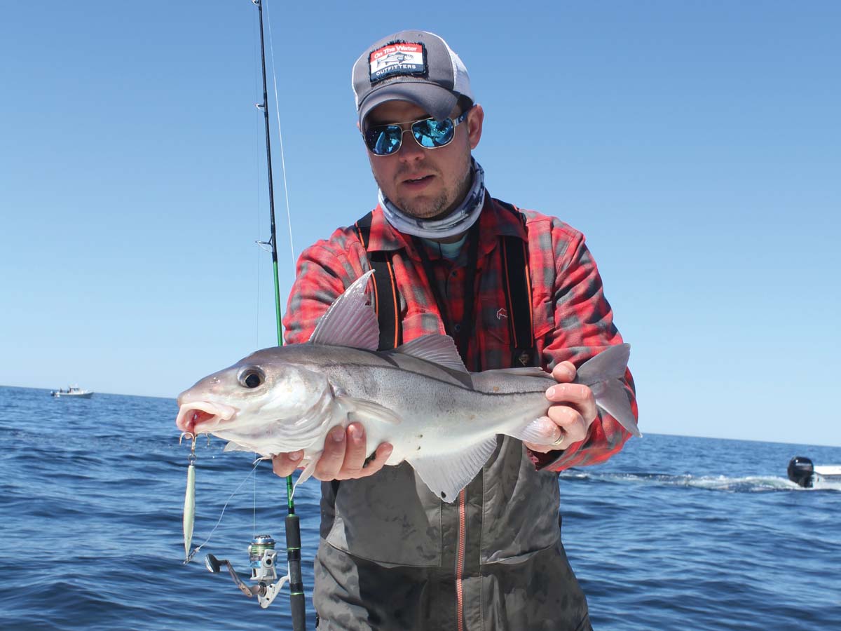 Where is the best place to catch haddock?