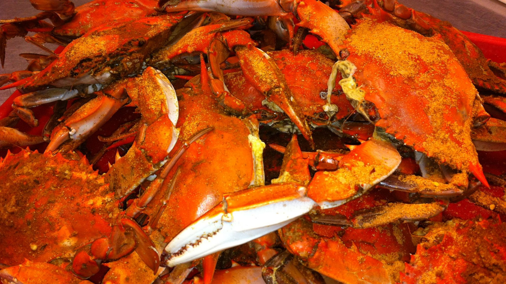 Where is the best place to crab in Maryland?