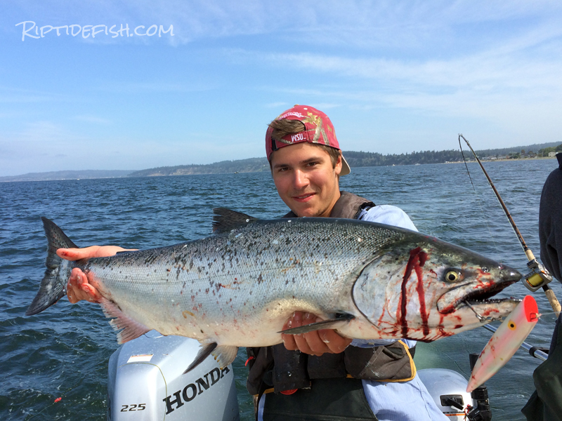 Where is the best salmon fishing in Puget Sound?