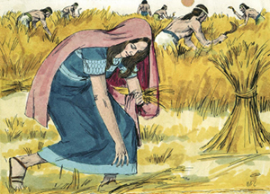 Where is the book of Ruth in the Torah?