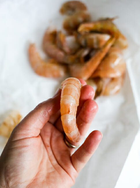 Where is the poop line in shrimp?
