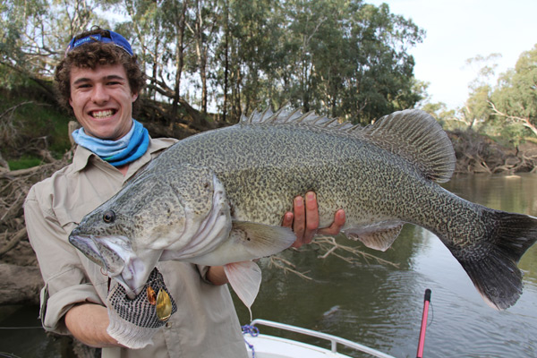 Where to fish for cod in the river?