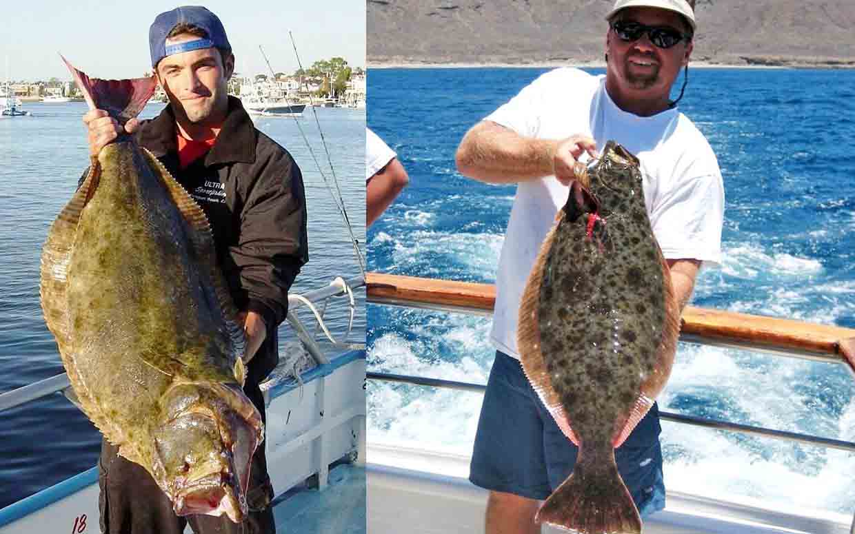 Where to fish for halibut in Los Angeles?