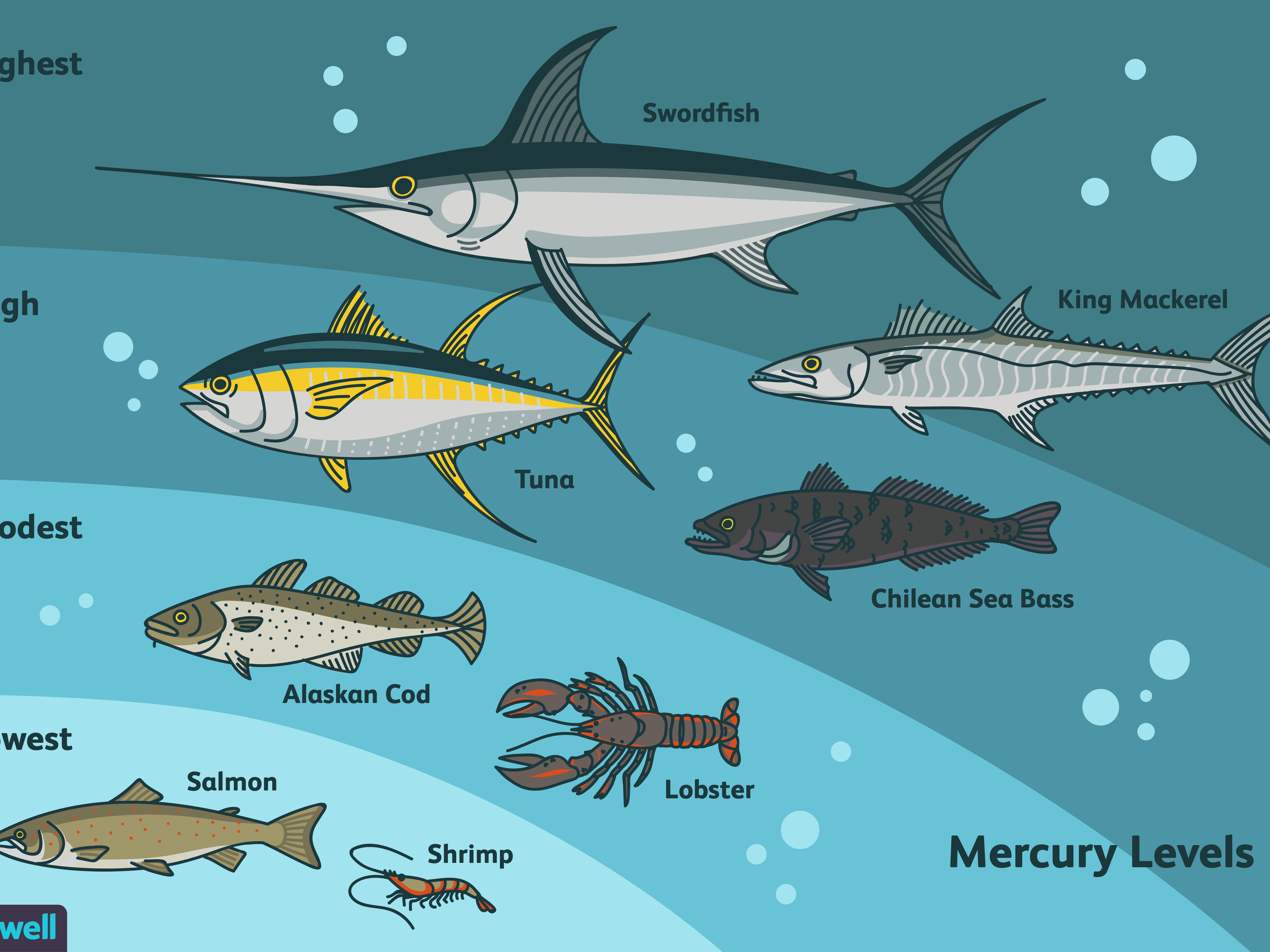 Which Alaskan fish do not have mercury?