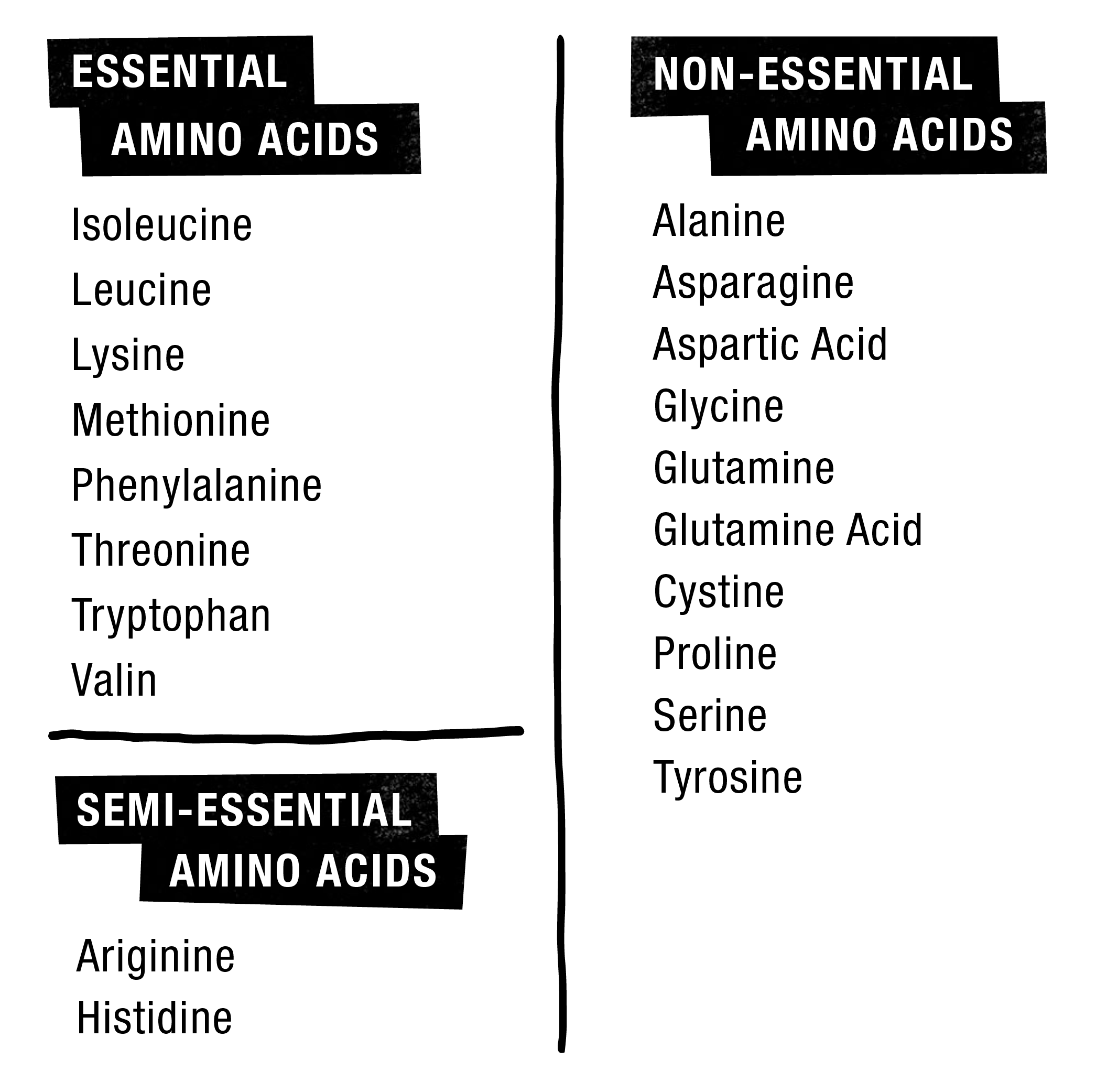 Which amino acids do vegans not get?