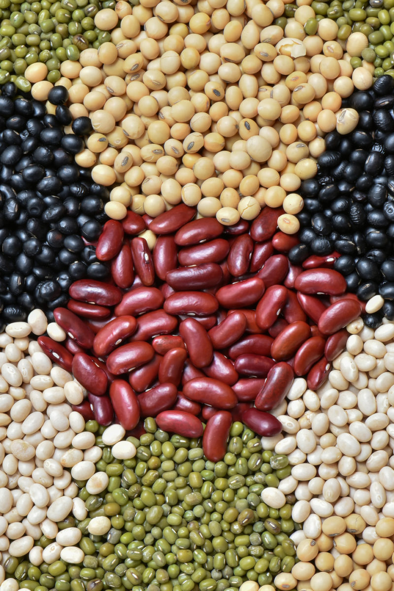 Which are legumes?