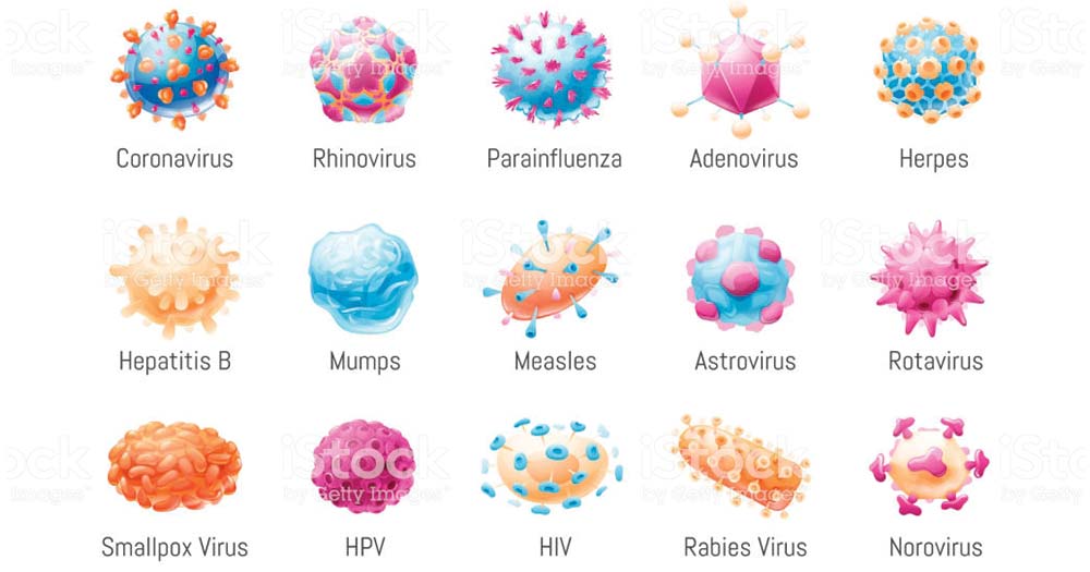 Which are the viral diseases?