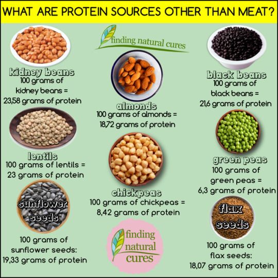 Which bean has more protein than meat?