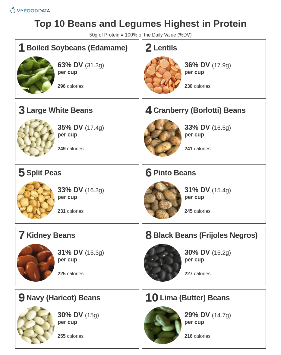 Which beans and legumes have the most protein?