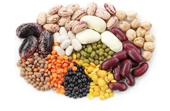 Which beans are best for cancer?