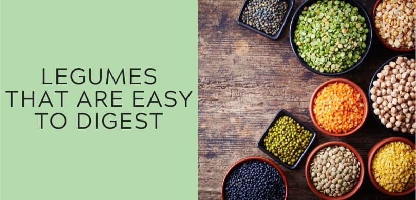 Which beans are the easiest to digest?