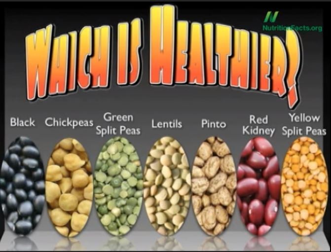 Which beans have the most flavonoids?