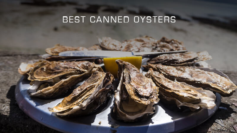 Which canned oysters are the healthiest?