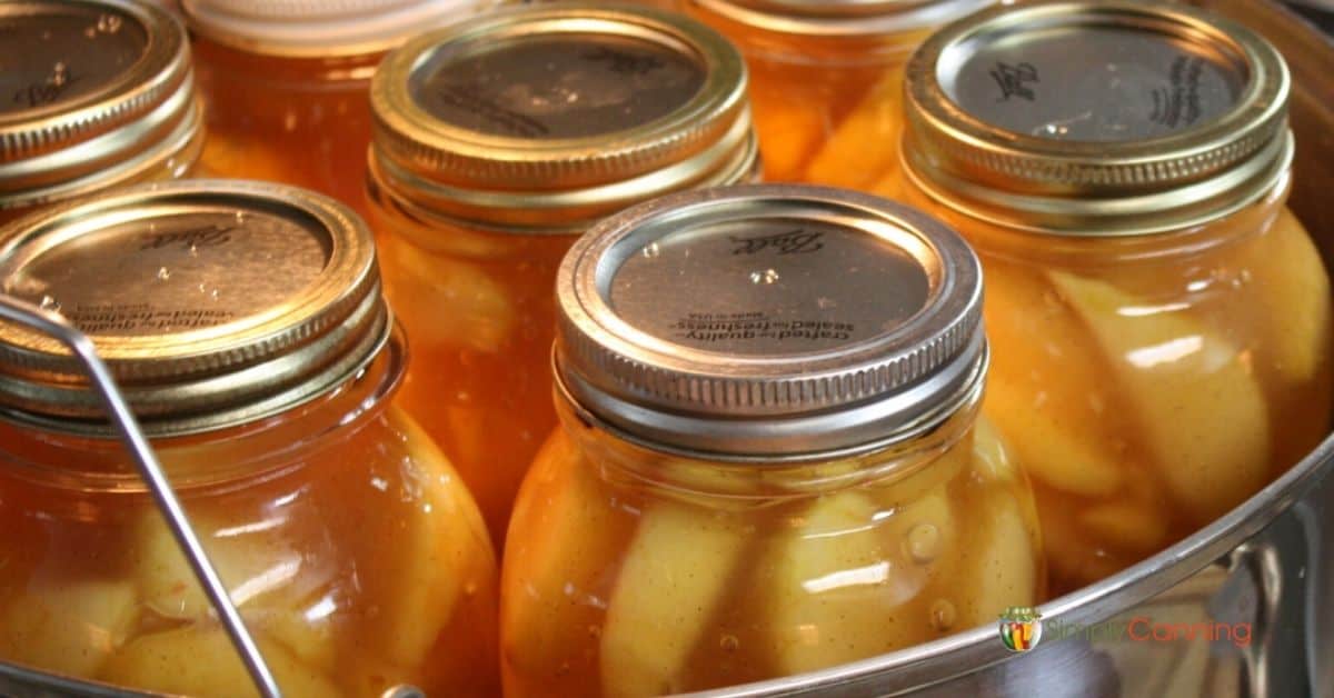 Which canning method is best?