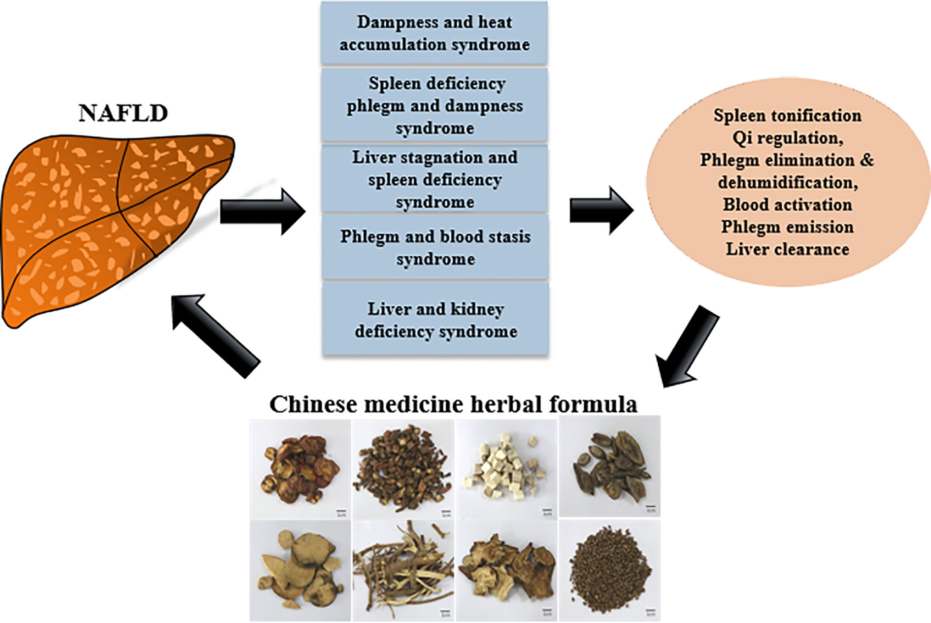 Which Chinese herbs are bad for the liver?