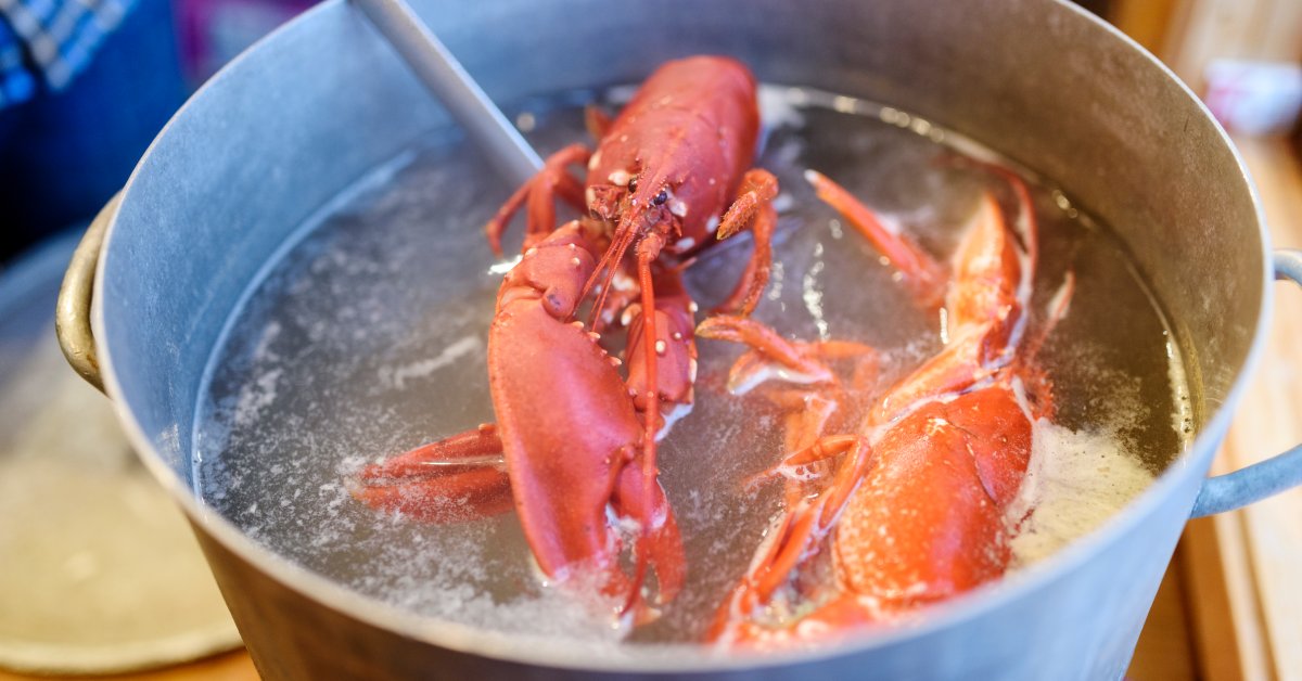 Which countries ban boiling lobsters?