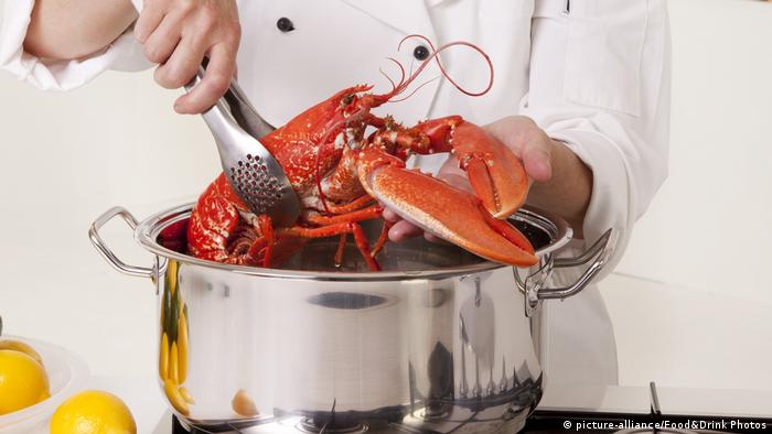 Which countries have banned boiling lobsters?