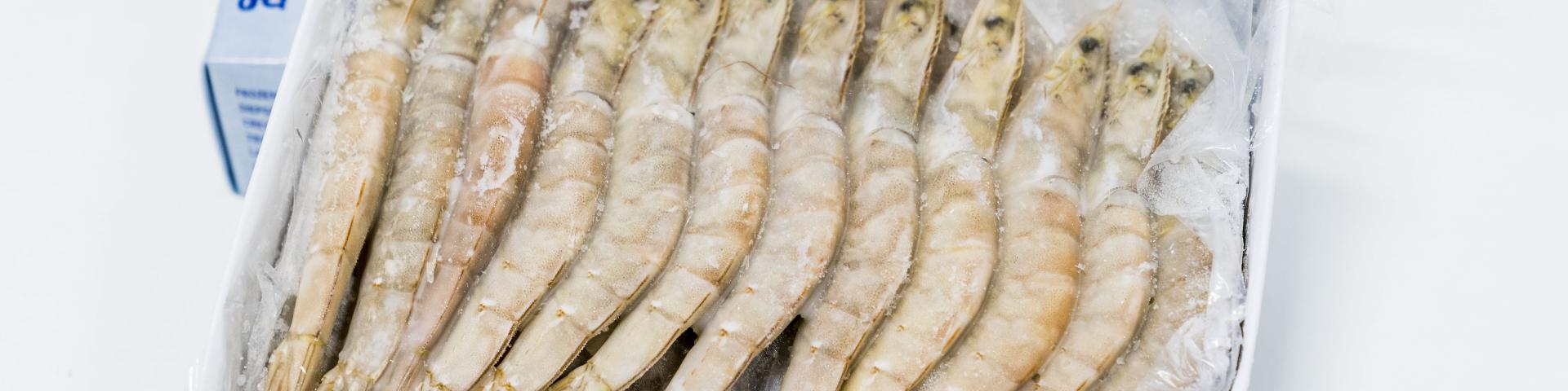 Which countries import the most Pacific white shrimp from Europe?