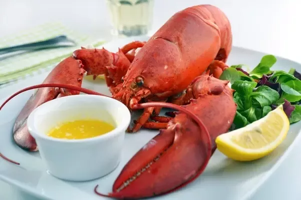 Which country has the best lobsters?