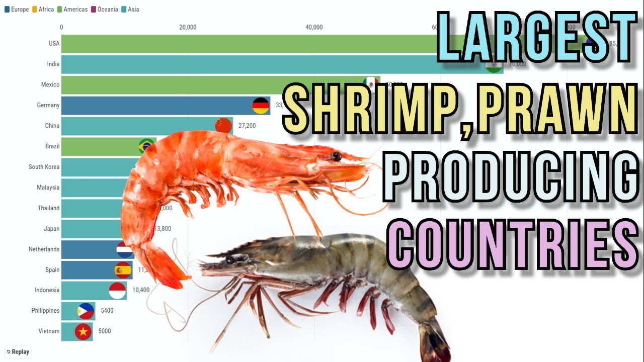 Which country produces the most prawns?