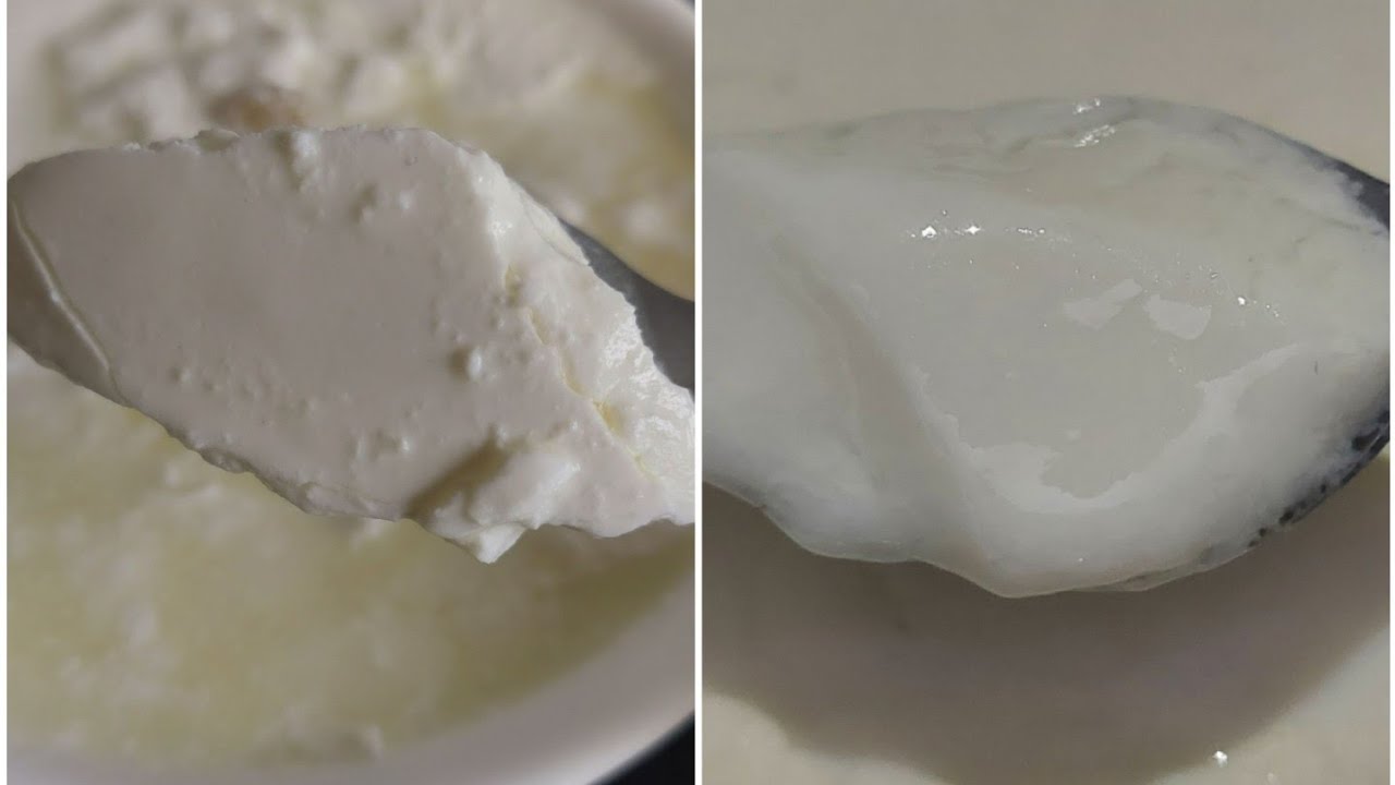 Which curd is better cow or buffalo?