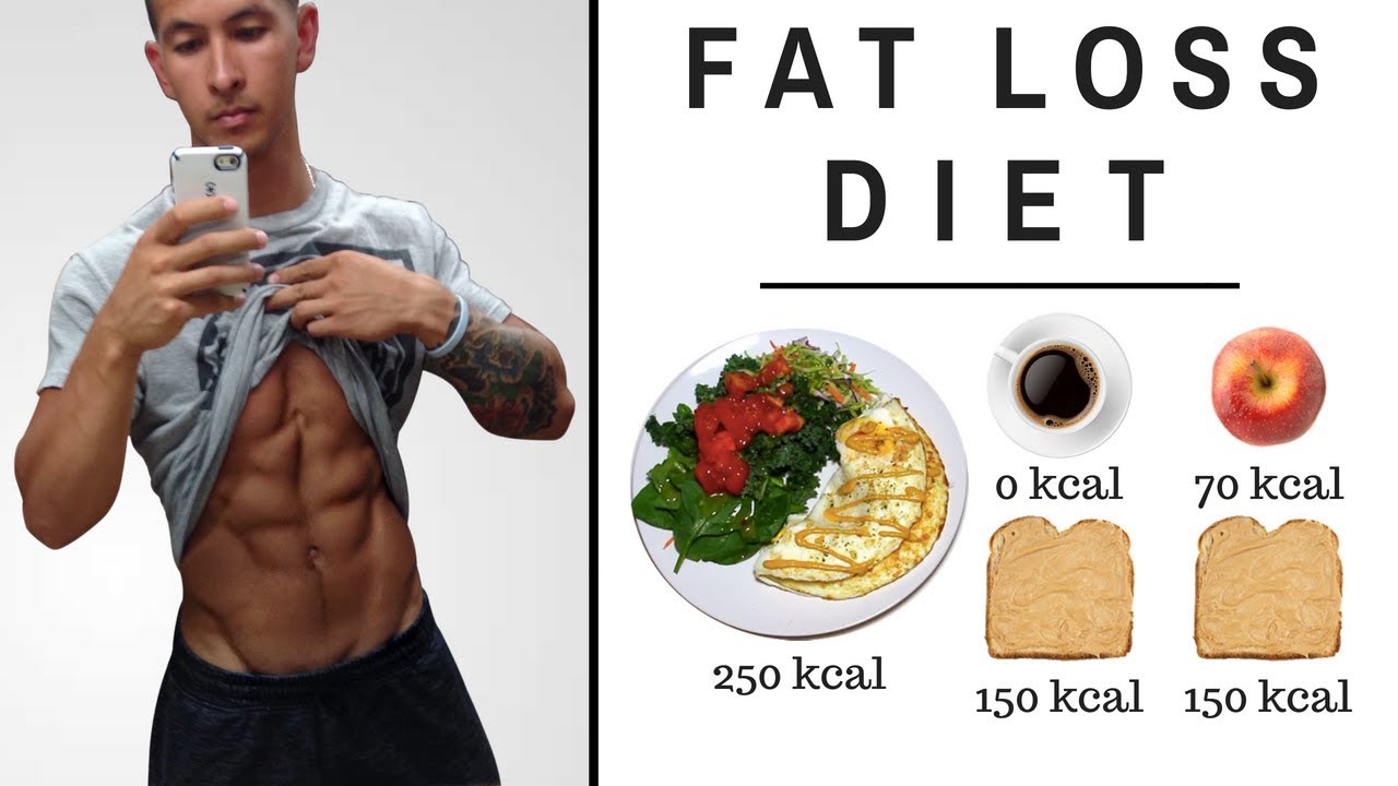 Which diet is best for fat loss?